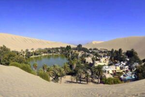 Qué es un oasis | Cómo se forman los oasis y sus características