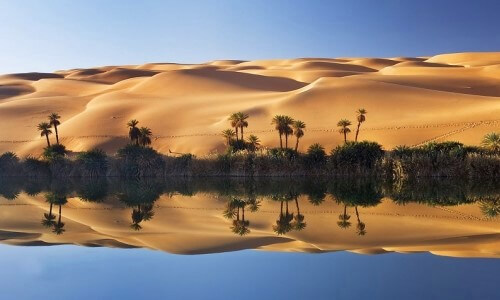 Qué es un oasis | Cómo se forman los oasis y sus características