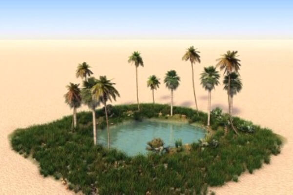 Qué es un oasis | Cómo se forman los oasis y sus características